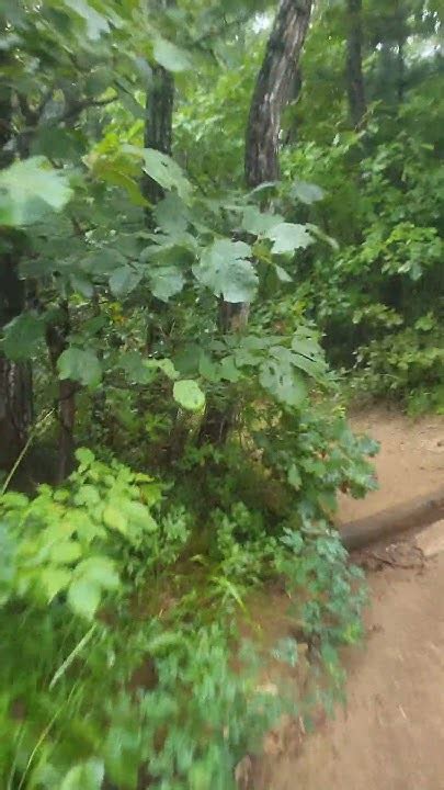 금강산신선대 금강산성인대 트레일러닝 고성성인대 고성신선대 Youtube