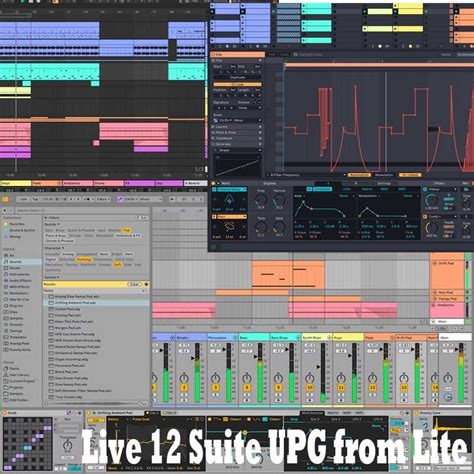 ableton Live 12 Suite UPG from Lite (代引不可)(オンライン納品) ｜イケベ楽器店オンラインストア