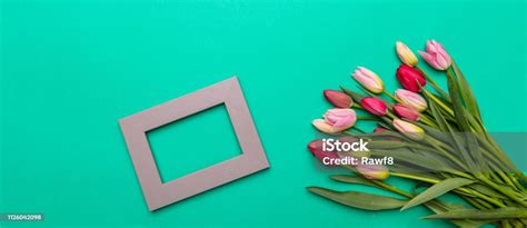 핑크색과 붉은 튤립 꽃다발과 녹색 배경 배너 상단 보기에 빈 프레임 0명에 대한 스톡 사진 및 기타 이미지 0명 개화기