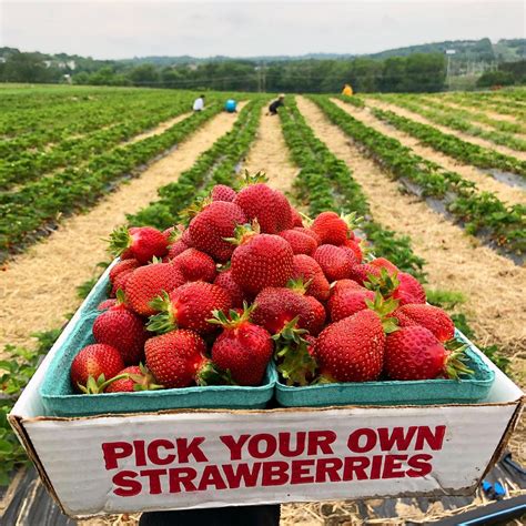 Lake County Nursery Production Manager Supervisor Are You Looking For