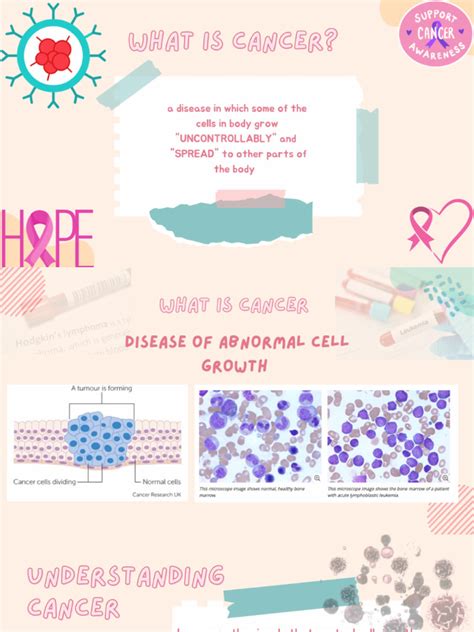 cml pdf