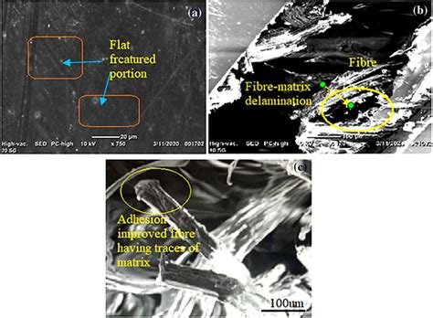 Sem Fractography After Tensile Fatigue Testing Download Scientific