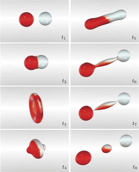 Direct Numerical Simulation Of Multiscale Flow Physics Of Binary Droplet Collision Physics Of