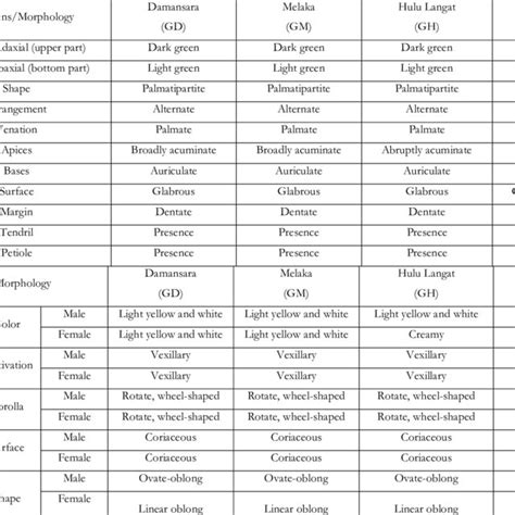 Flower Morphology A Front View Of Male Flowers B Side View Of Male