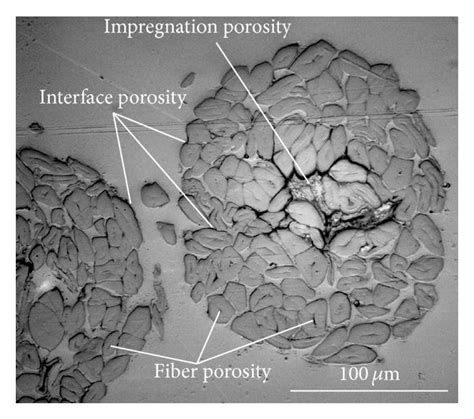 Types Of Porosity In Cellulose Fiber Composites Shown Are