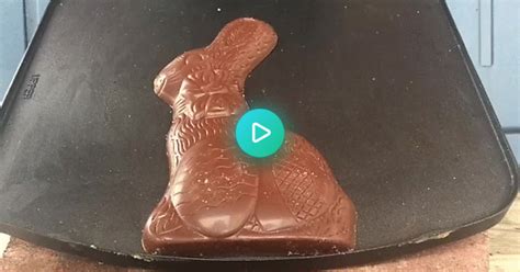 Happy Easter Imgurians  On Imgur