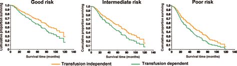 Transfusion Dependency Significantly Influences Survival In Patients