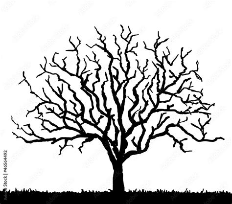 Black Tree Silhouette With No Leaves Vector Illustration Stock Vector
