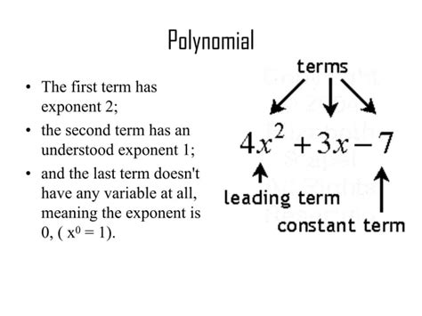 Mathematics For Grade 7 All About Polynomialspdf