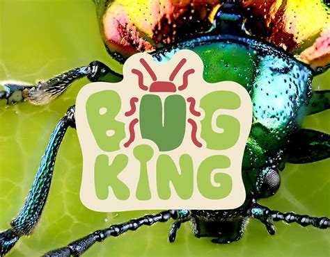 Branding Bug King On Behance