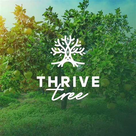 Thrive Tree — Piney Colors