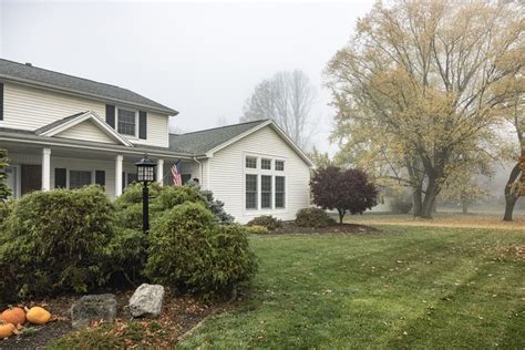 Dormant Grass How You Can Spot And Care For It Scientific Plant Service