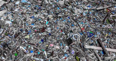 The Great Pacific Garbage Patchs Ecosystem What To Know About It