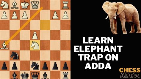 Elephant Trap Best Opening Trick I Trap In Queen S Gambit Declined I