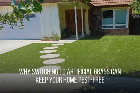 Artificial Grass Reduces Fleas Ticks And Pests In Vacaville