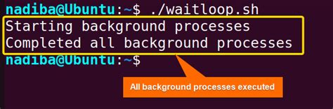Bash Wait Command In Process Management Examples Linuxsimply