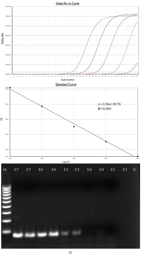 Development And Validation Of Multiplex One Step Real Time Taqmanqrt