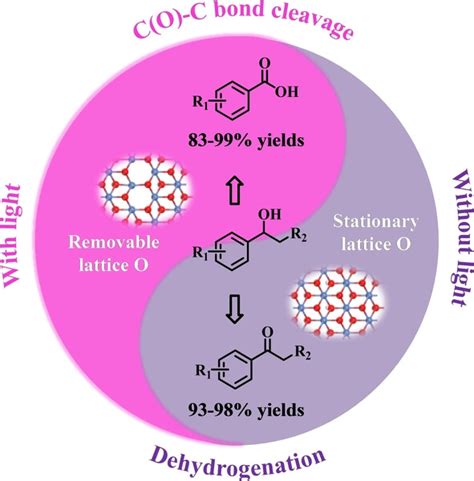 Visible Light‐switchable Lattice Oxygen Sites For Selective C−h And C O