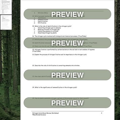 Nitrogen Cycle Mixed Review Worksheet By Back Pocket Science Worksheets