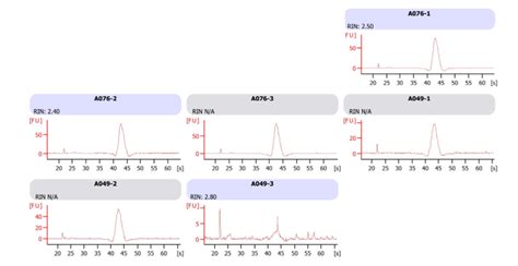 Brachyuran Crab Rna Extractions Agilent 2100 Bioanalyzer One Large Rna Peak Between 28s And