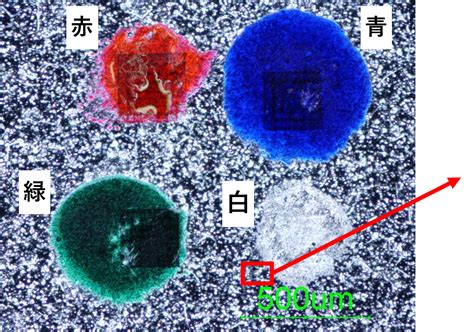 光学顕微鏡とSEMの使い分け 株式会社アイテス株式会社アイテス