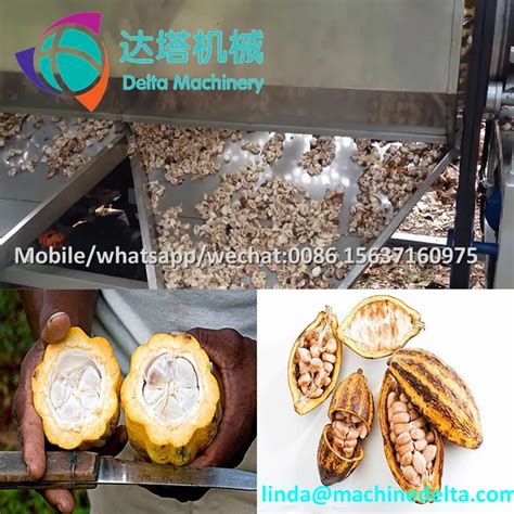 Green Cocoa Pod Sheller High Efficiency And Productivity