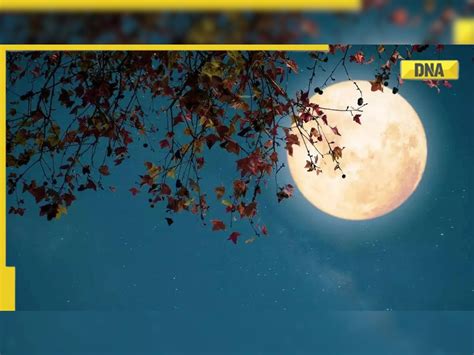Magh Purnima 2023 Check Date Shubh Muhurat Puja Vidhi And Other Details