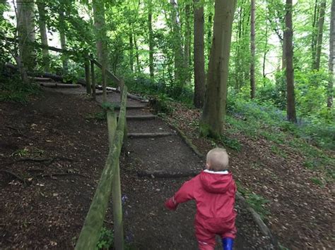 Drews Pond Nature Reserve Devizes England Top Tips Before You Go