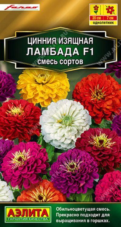Золотая сотка алтая