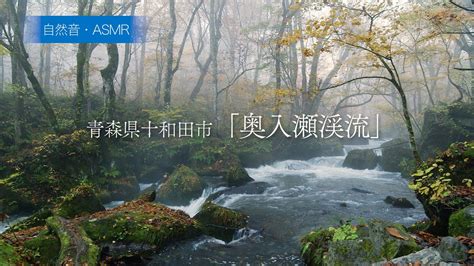 【環境音・asmr】秋の奥入瀬渓流 癒やしの自然環境動画 Youtube