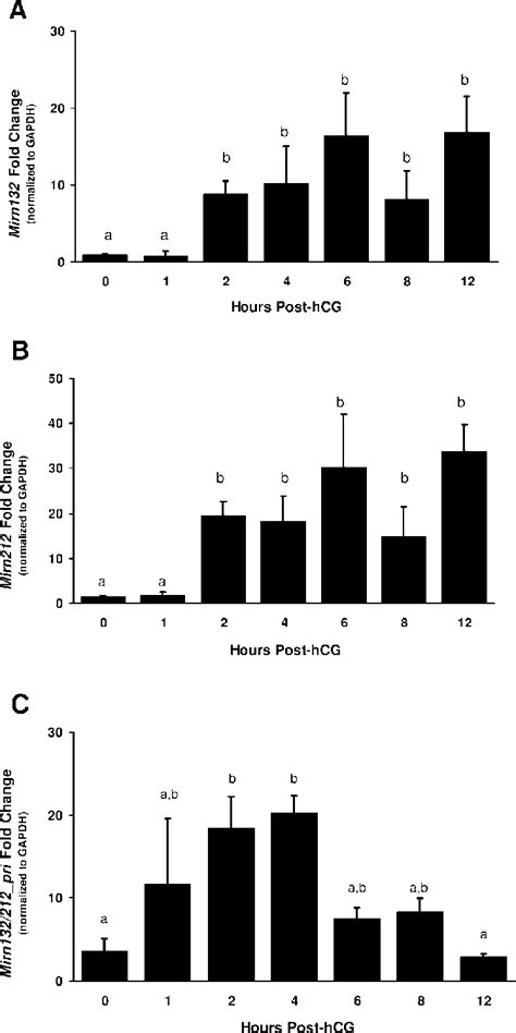 Quantitative Rt Pcr Analysis Of Mature Mirn132 A Mature Mirn212 B