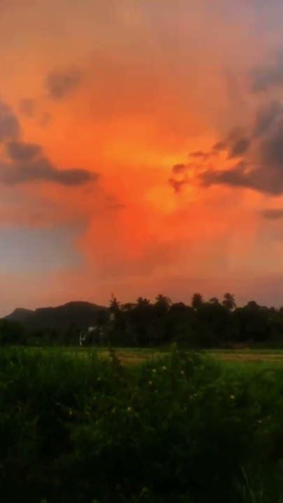 ඉර බැස යන මොහොතක සොදුරු ගම් පියස 🩷🥹 Youtube