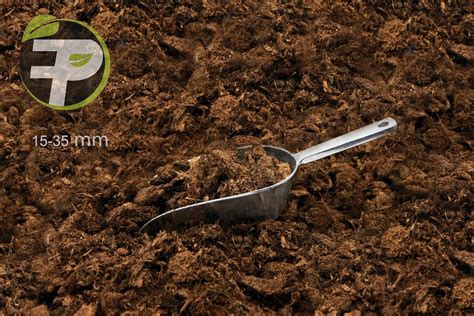 Peat Moss