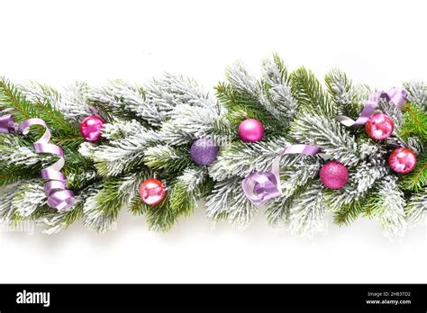Christmas Banner With Violet Baubles In Row On Snowy Evergreen Fir Branches Isolated On White