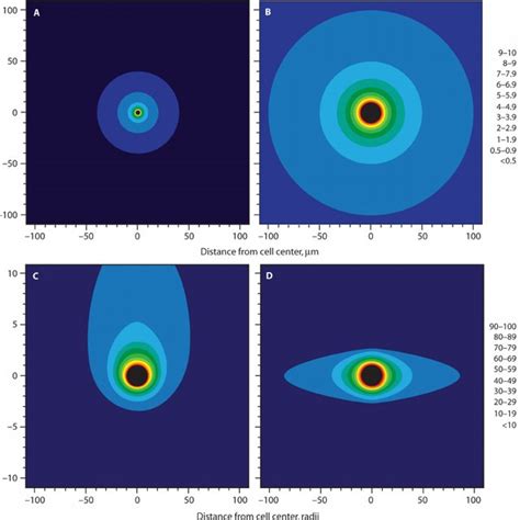Pdf Interactions Between Diatoms And Bacteria