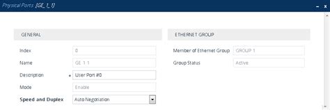 Configuring Physical Ethernet Ports