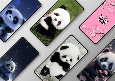Panda Wallpapers Apk Download For Android Latest Version