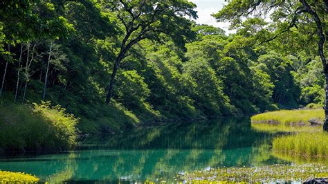 無限的自然夢想 梦境 勘探 自然背景圖片和桌布免費下載