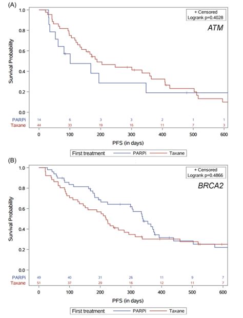 Prostate：atm与brca2转移去势抵抗性前列腺癌对他汀类和parp抑制剂的反应如何？ 生命经纬