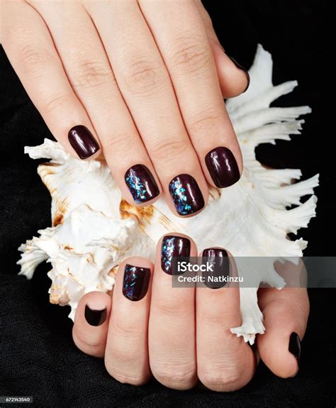 바다 포탄을 들고 어두운 보라색 매니큐어 컬러 짧은 잘 손질 된 손톱과 손 껍데기에 대한 스톡 사진 및 기타 이미지 껍데기 네일 살롱 네일아트 Istock