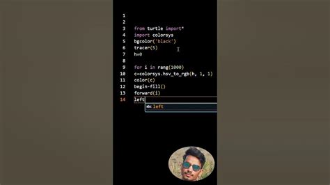 Python Turtle Graphics Create Python Turle With Ankit Python Pythonturtle