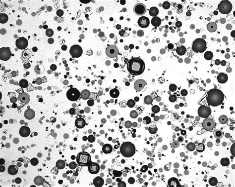 Diffraction Patterns In Gold On Silicon Nitride