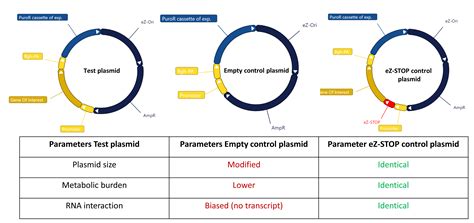 Positive Control Gene Expression