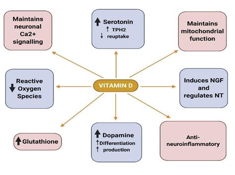 Vitamin D Depression Review At Ryan Browning Blog