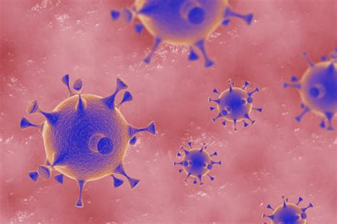 3d 렌더링 박테리아 바이러스 3d 렌더링 미생물 현미경의 밑에 박테리아 바이러스 또는 세균 미생물 세포 0명에 대한 스톡 사진 및 기타 이미지 Istock