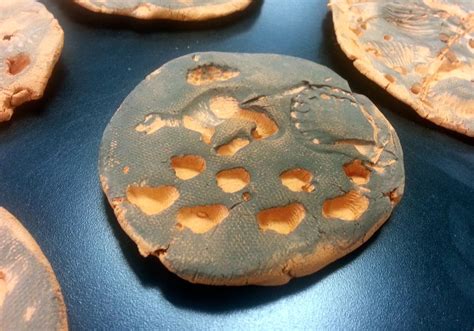 Clay Fossils K Art With Mrs Nguyen
