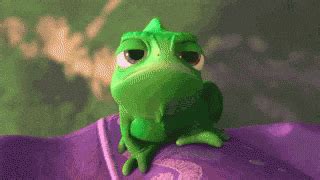 Pascal Tangled GIFs Get The Best GIF On GIPHY
