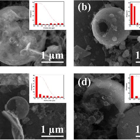SEM Images Of A MS 20 B MS 30 C MS 40 And D MS 50 With Download Scientific Diagram