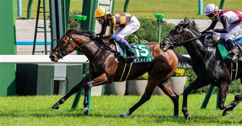 【葵ステークス（g3）回顧～その先へ】日刊コンピ篇｜haya