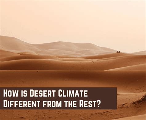 Why Does The Desert Get Cold At Night Lets Find Out